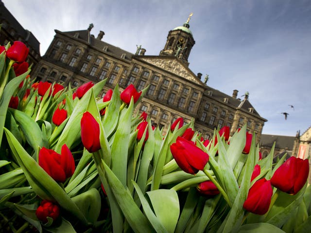 The 11 best school systems in the world | The Independent | The Independent