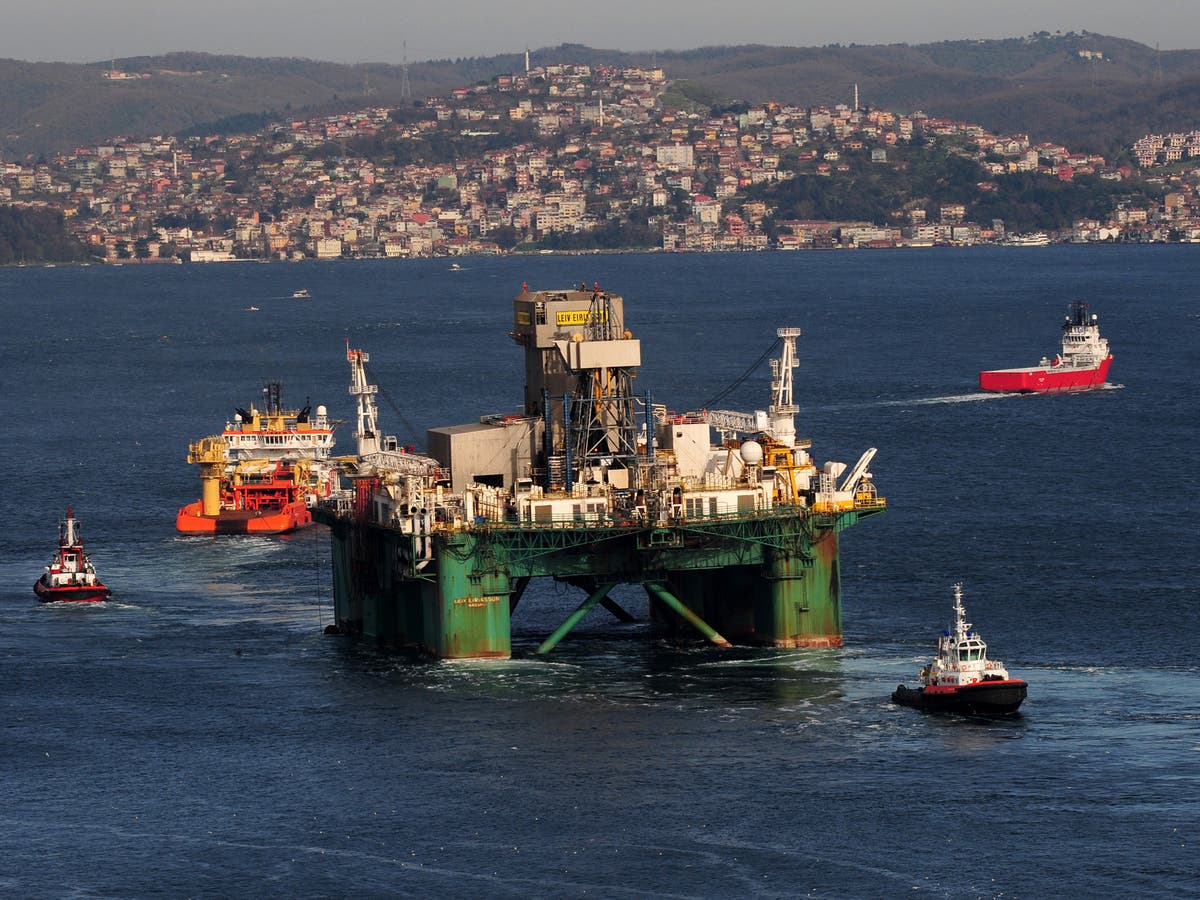 B&B owner may be forced to buy Belize oil company after her son ...