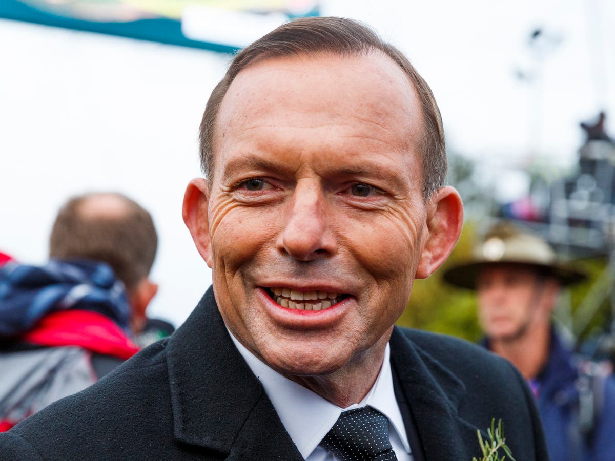 Tony Abbott rejects calls for referendum on gay marriage after Ireland ...