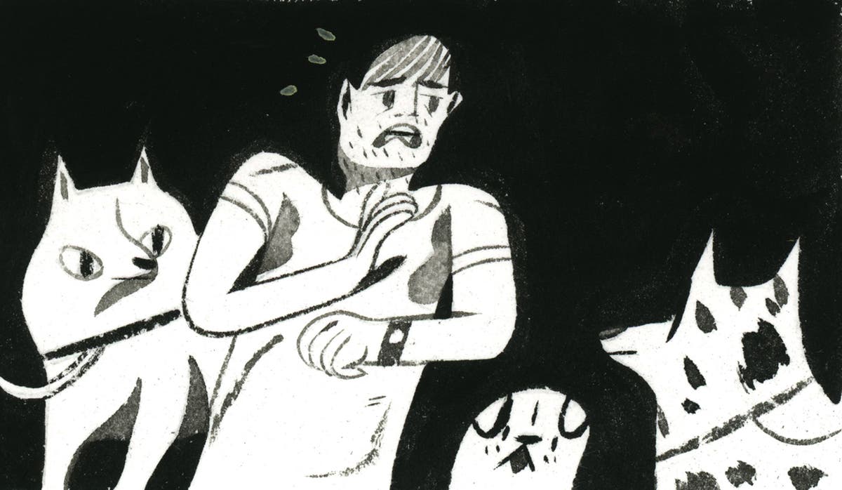 What are the greatest design flaws of the human body? | The Independent ...