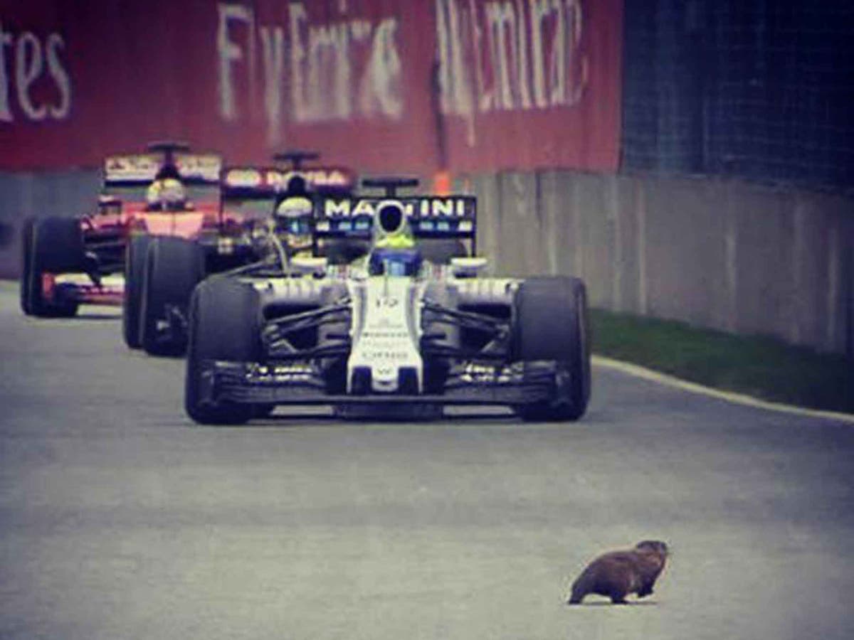 Canadian Grand Prix 2015: Lewis Hamilton wins again but groundhog near ...