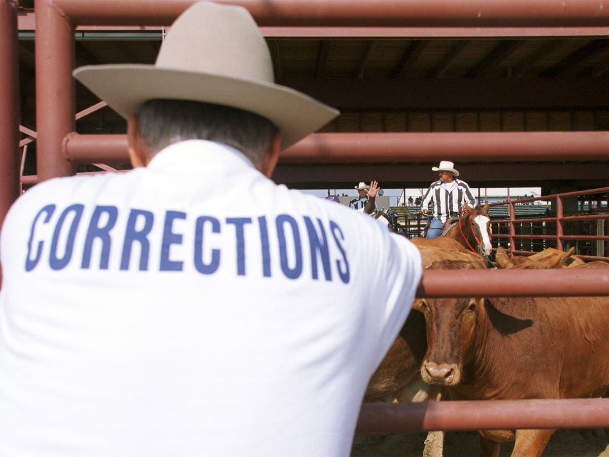 Angola penitentiary prison farm: a throwback to a very different kind ...