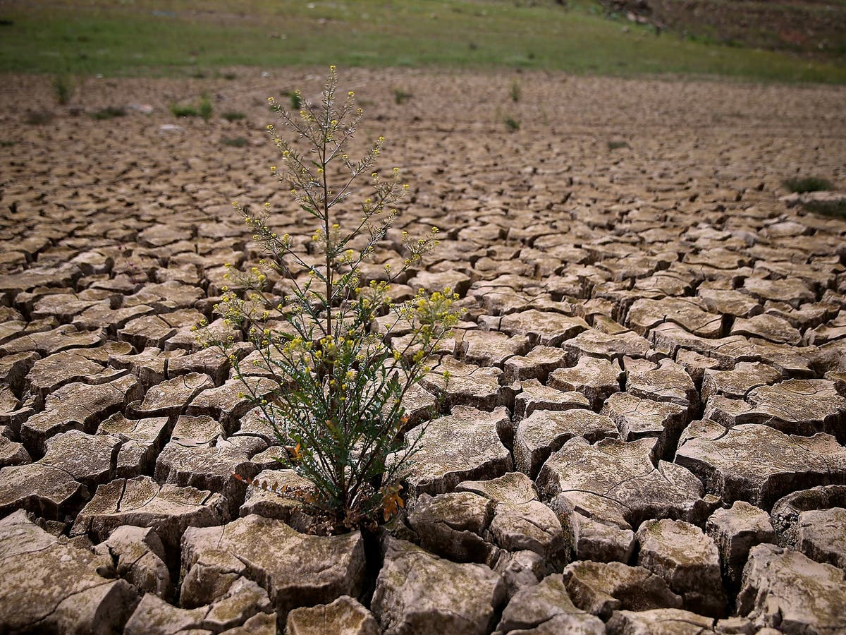 Nasa data shows the world is running out of water | The Independent ...
