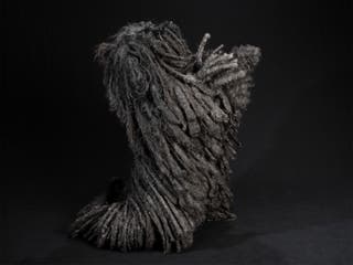 Black Dogs Project: Photographer unveils gallery of dark canines in a ...