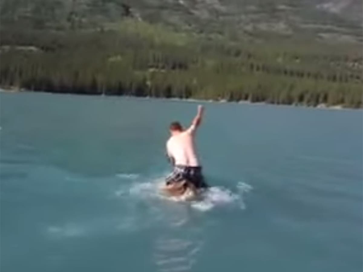 Video of a man riding a moose across water causes outrage in another ...