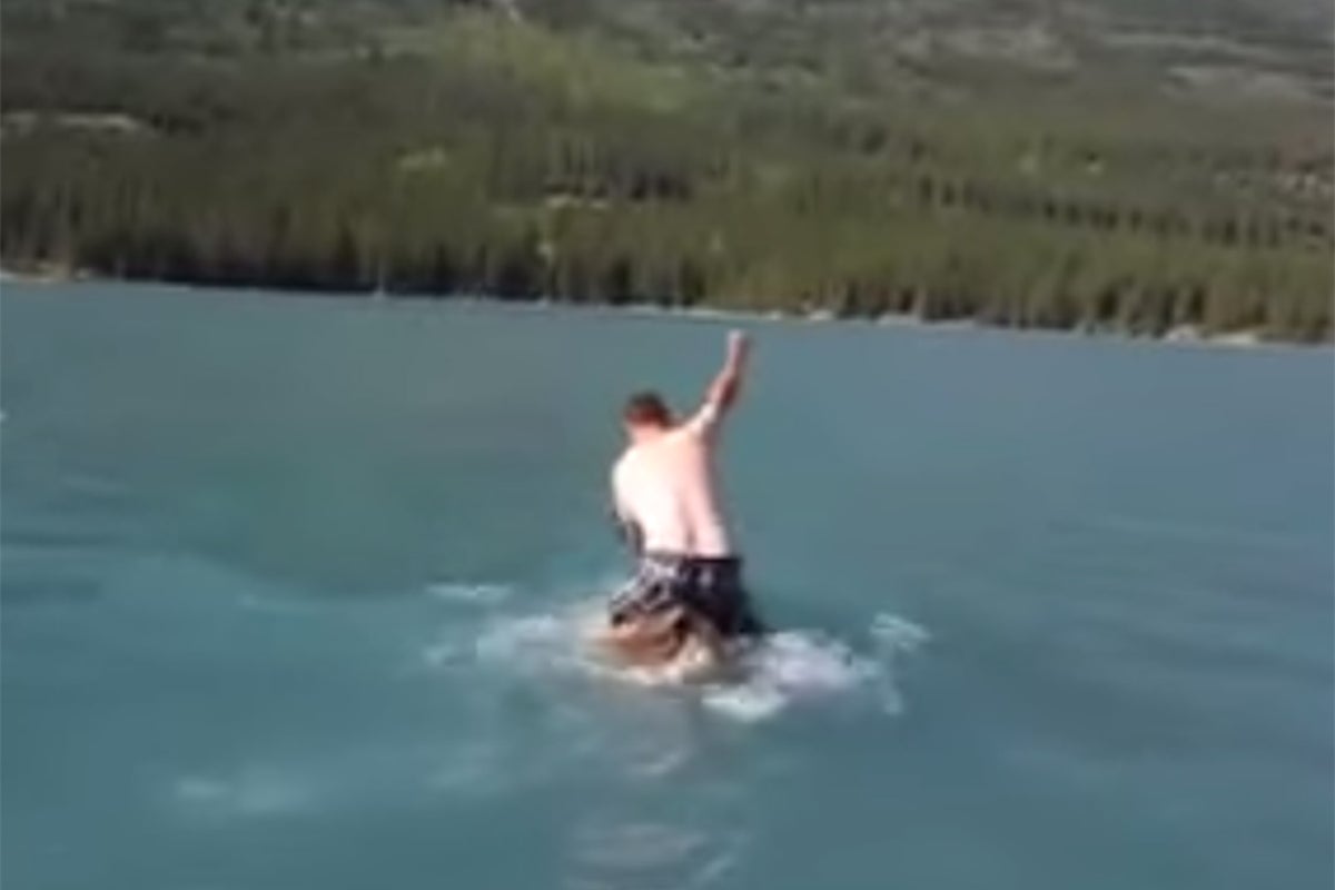 Video of a man riding a moose across water causes outrage in another ...