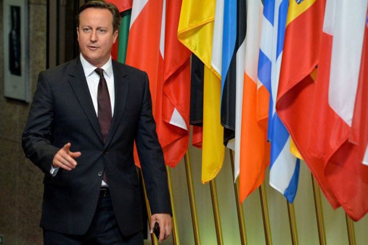 David Cameron 'delighted' with EU talks despite warning that union's ...