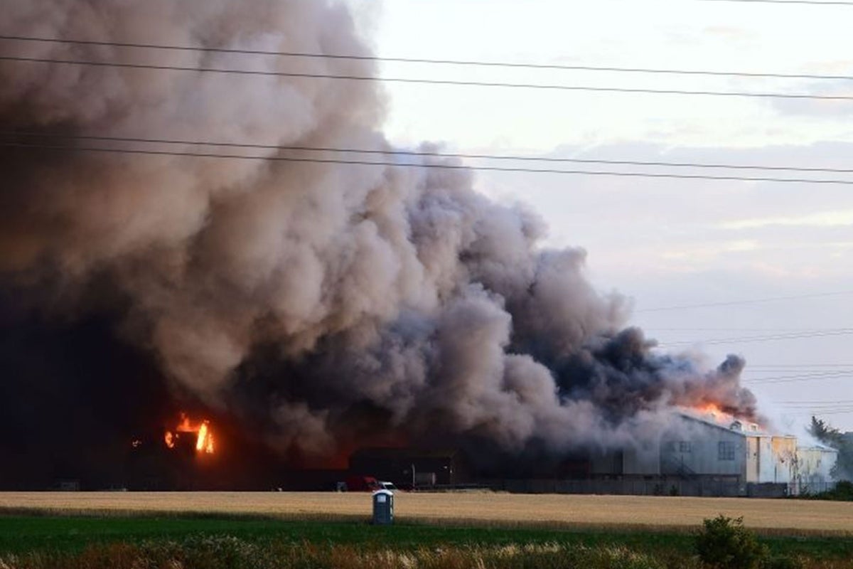 Rainham fire: 80 firefighters sent to tackle blaze at pallet yard | The ...