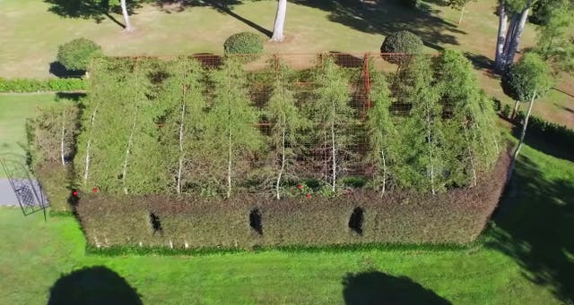 Someone spent 4 years growing a church out of trees and it looks ...