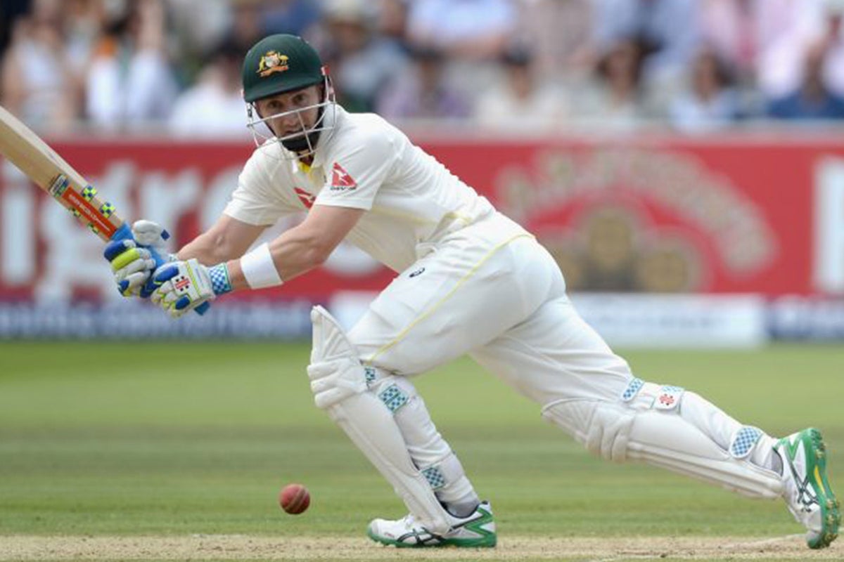 Ashes 2015: Damian Fleming: The Aussie Angle | The Independent | The ...