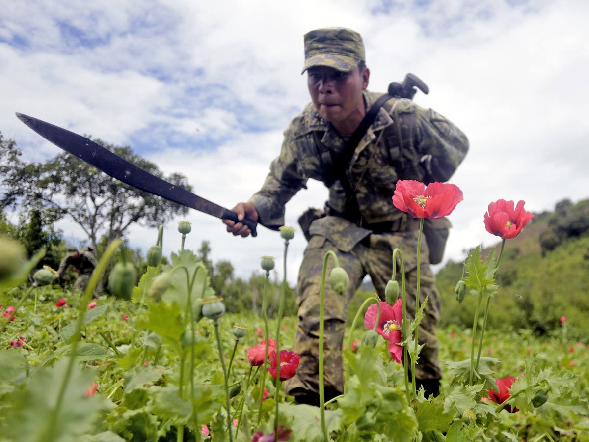 Joaquin 'El Chapo' Guzman: With Sinaloa cartel infighting and a police ...