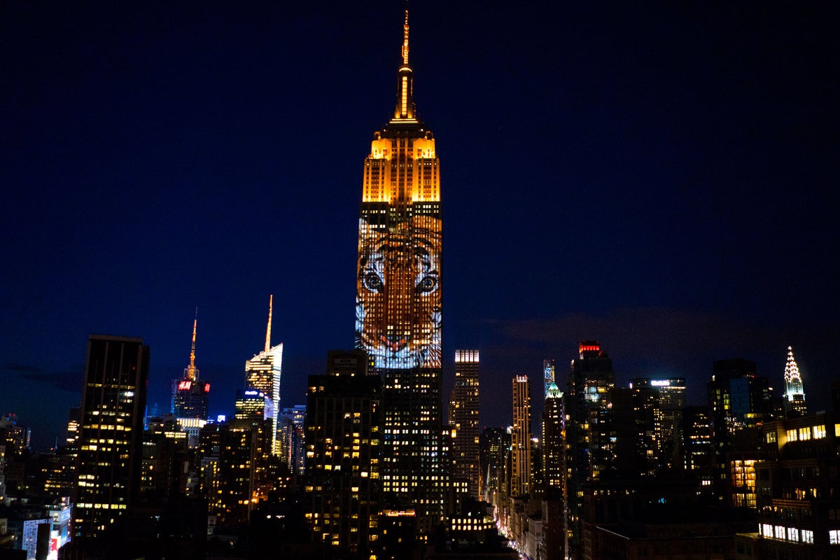 Cecil the lion and world's most endangered animals projected on Empire ...
