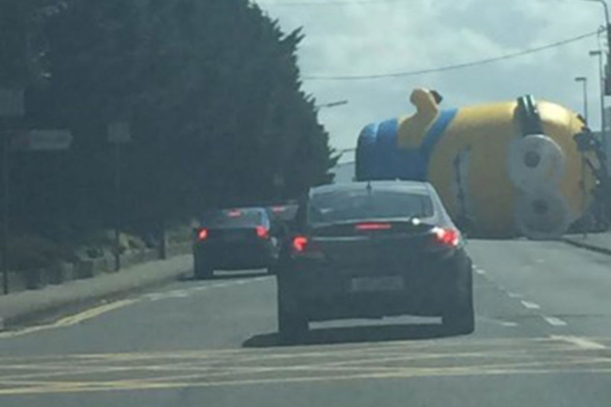 Giant Minion: The best reactions to 40ft inflatable that blocked ...
