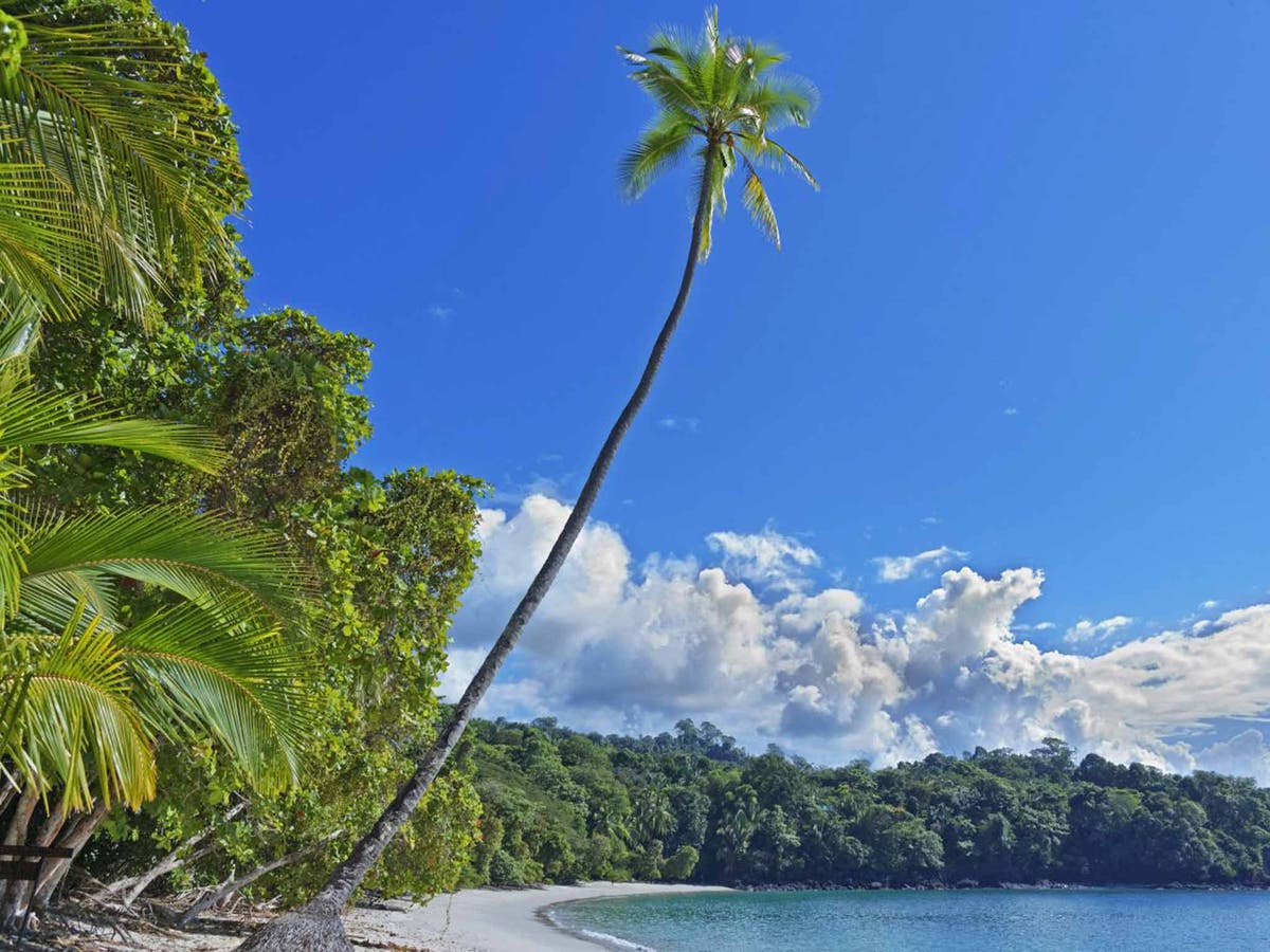 Costa Rica: new flights open up this Central American beauty | The ...