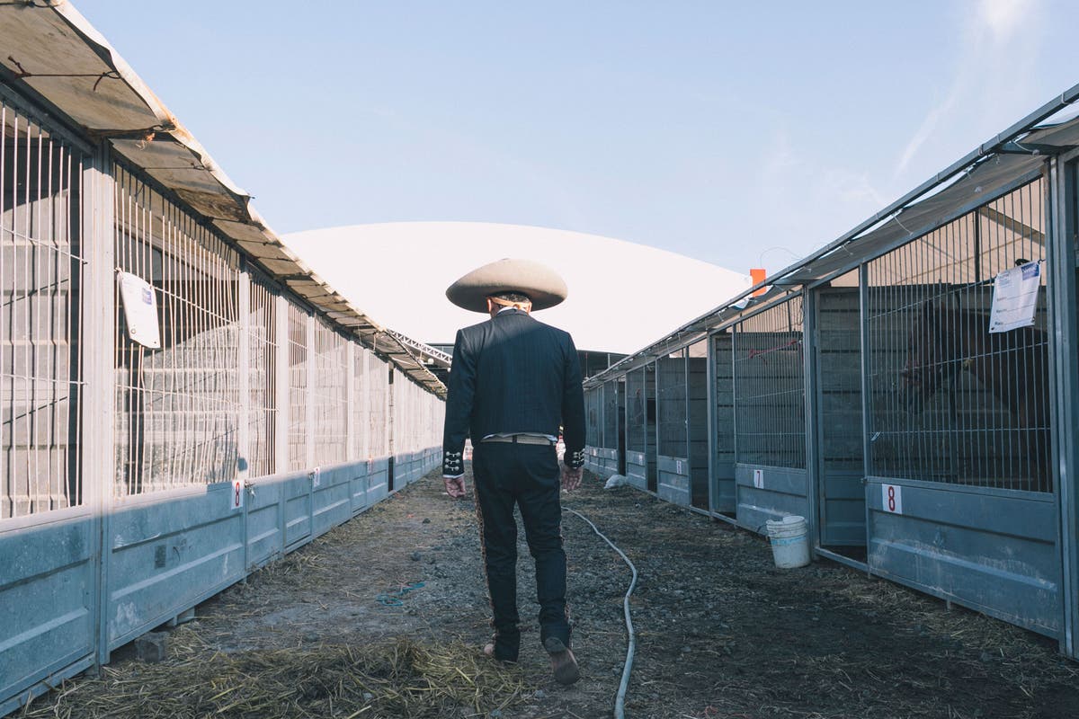 Photographer Steve Howse captures the machismo of Mexico's charreada | The Independent | The ...