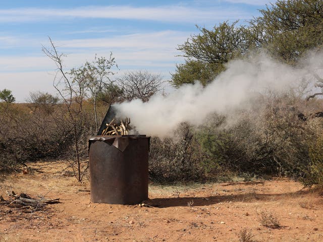 How Namibian charcoal workers pay a high price for the cheap British ...