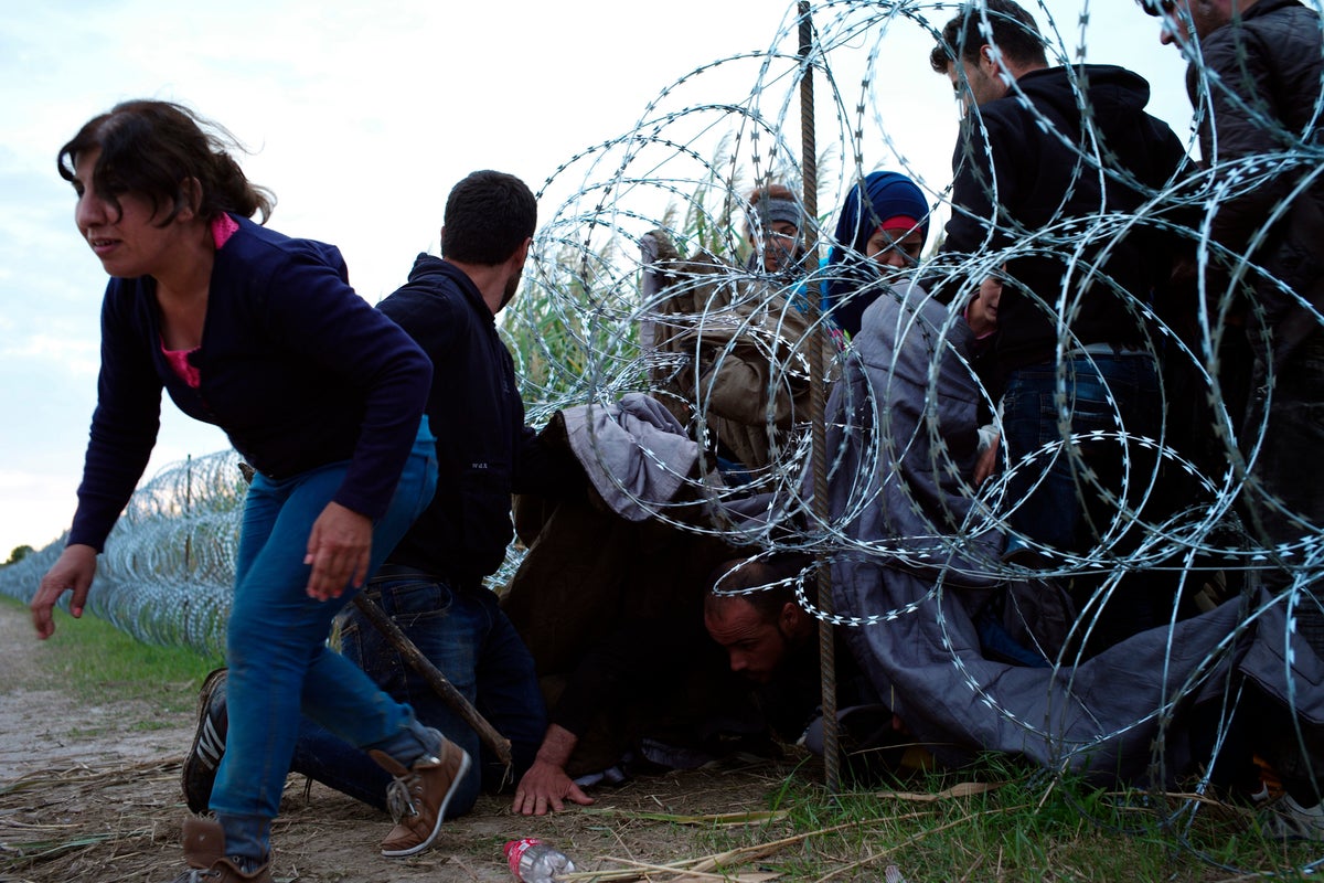 Charities call for looser asylum rules as UK receives just 1 in 30 of ...