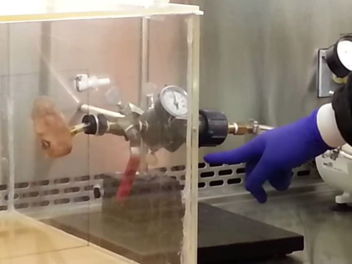 'Vomit machine' helps US scientists research spread of norovirus | The ...