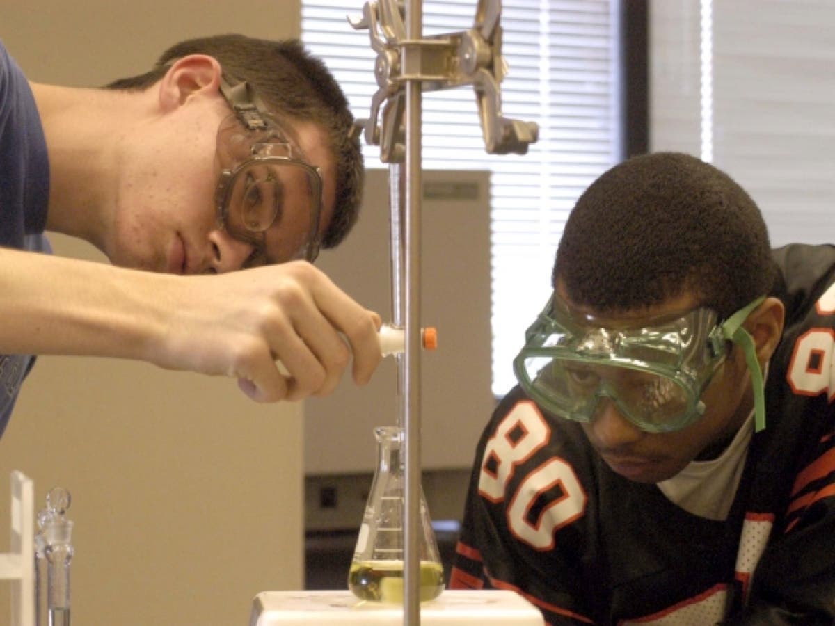 Americans score a 'D' when it comes to science, says new study | The ...