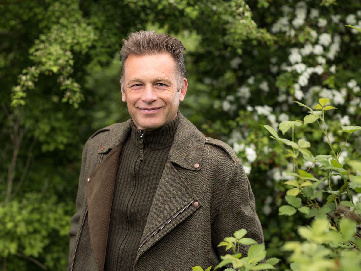 Chris Packham profile: David Attenborough's unlikely heir | The ...