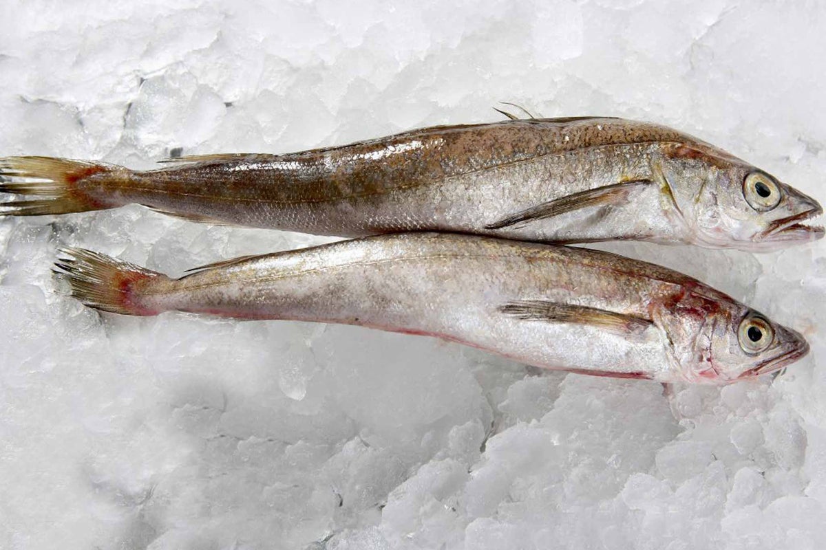 Fish delicacies: From cheeks and tongues to livers, roes, skeletons ...