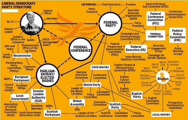 Baroness Brinton claims Liberal Democrats enjoying a membership surge ...