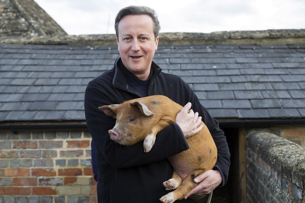 The most shocking thing about #Piggate is that it wouldn't be the worst ...