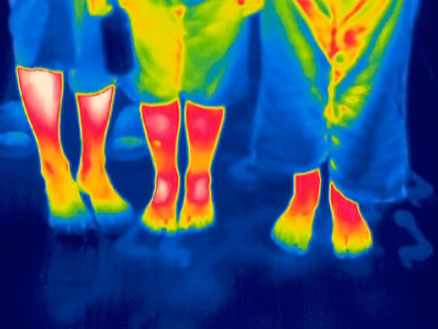 The science of vision: How do our eyes see? | The Independent | The ...