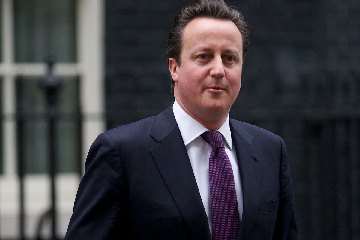 Cameron At 10: The Inside Story 2010-2015 by Anthony Seldon & Peter ...