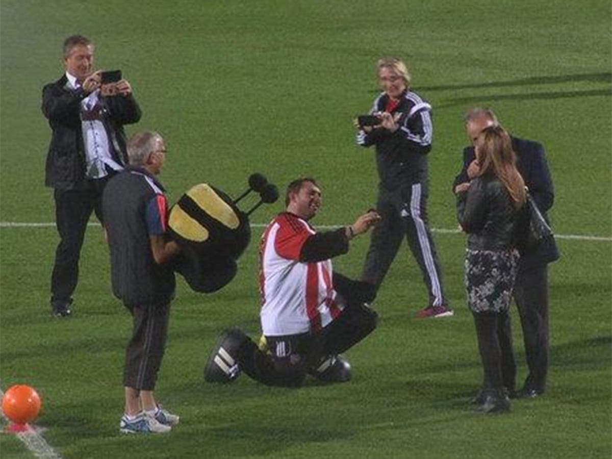 Brentford's Buzz Bee mascot proposes to girlfriend during half-time of ...