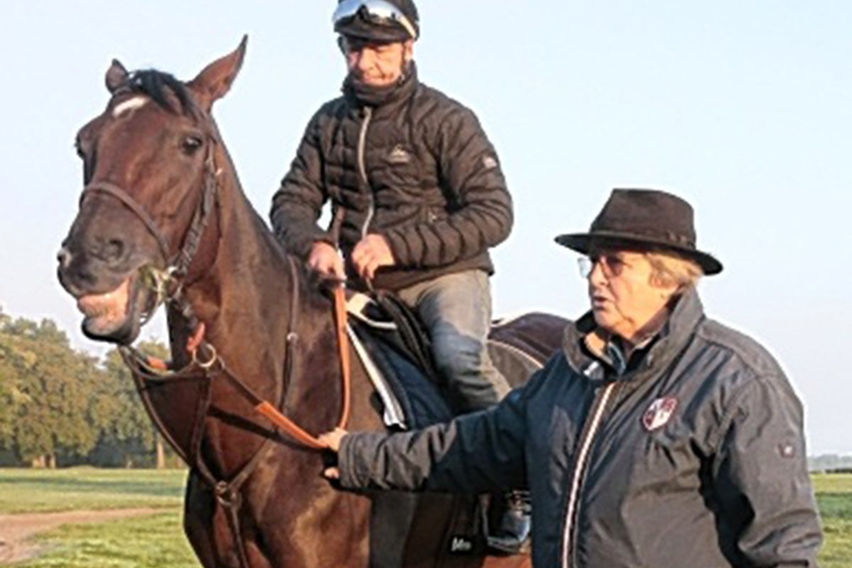 The Arc: Treve fancied to win duel in the Paris sun | The Independent ...