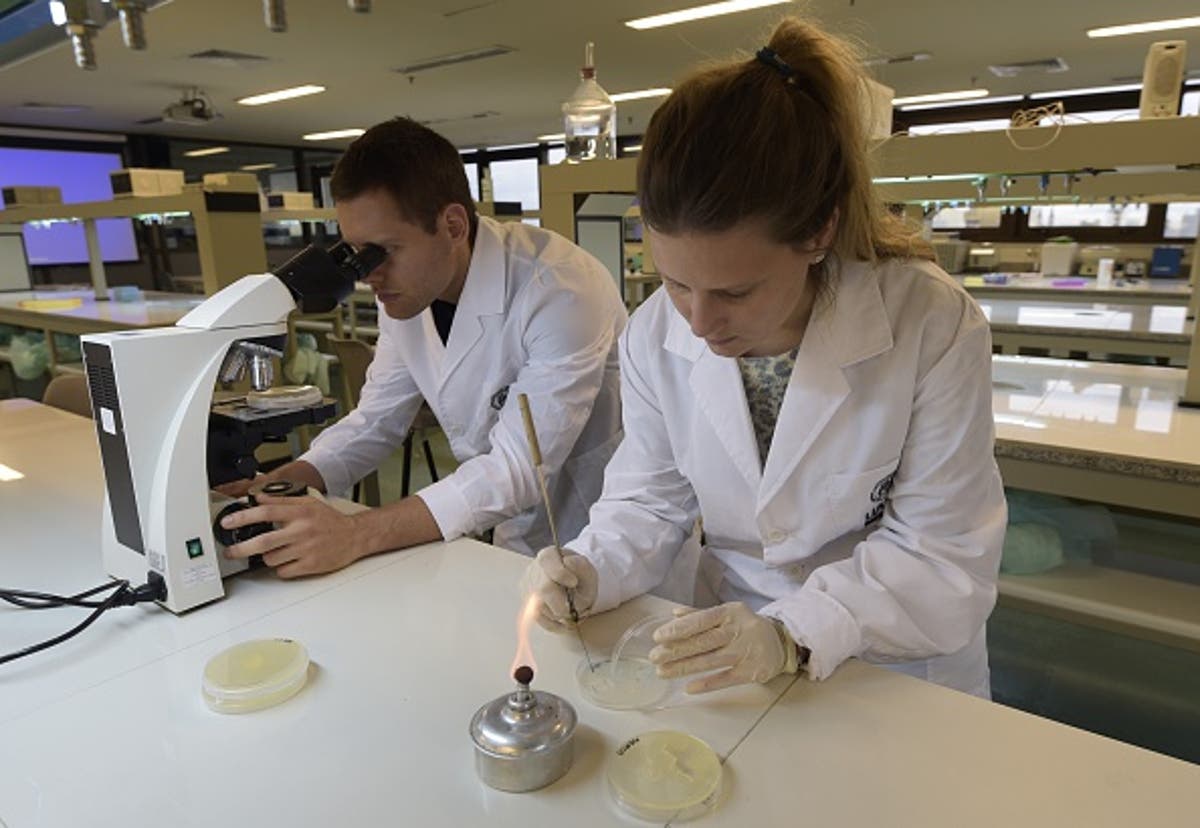 Male engineering student at Eastern Washington University explains why ...