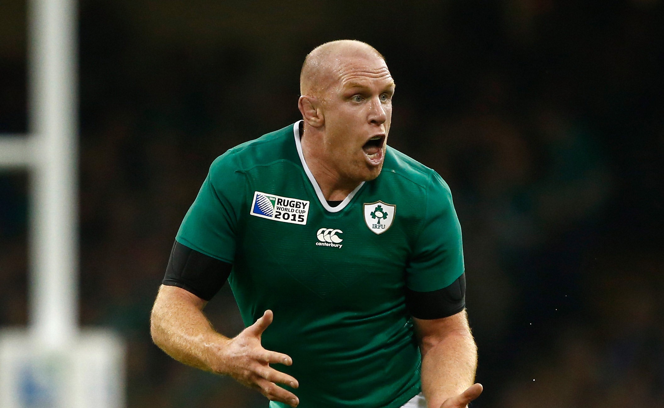 RWC 2015: Ireland captain Paul O'Connell ruled out of Rugby World Cup ...