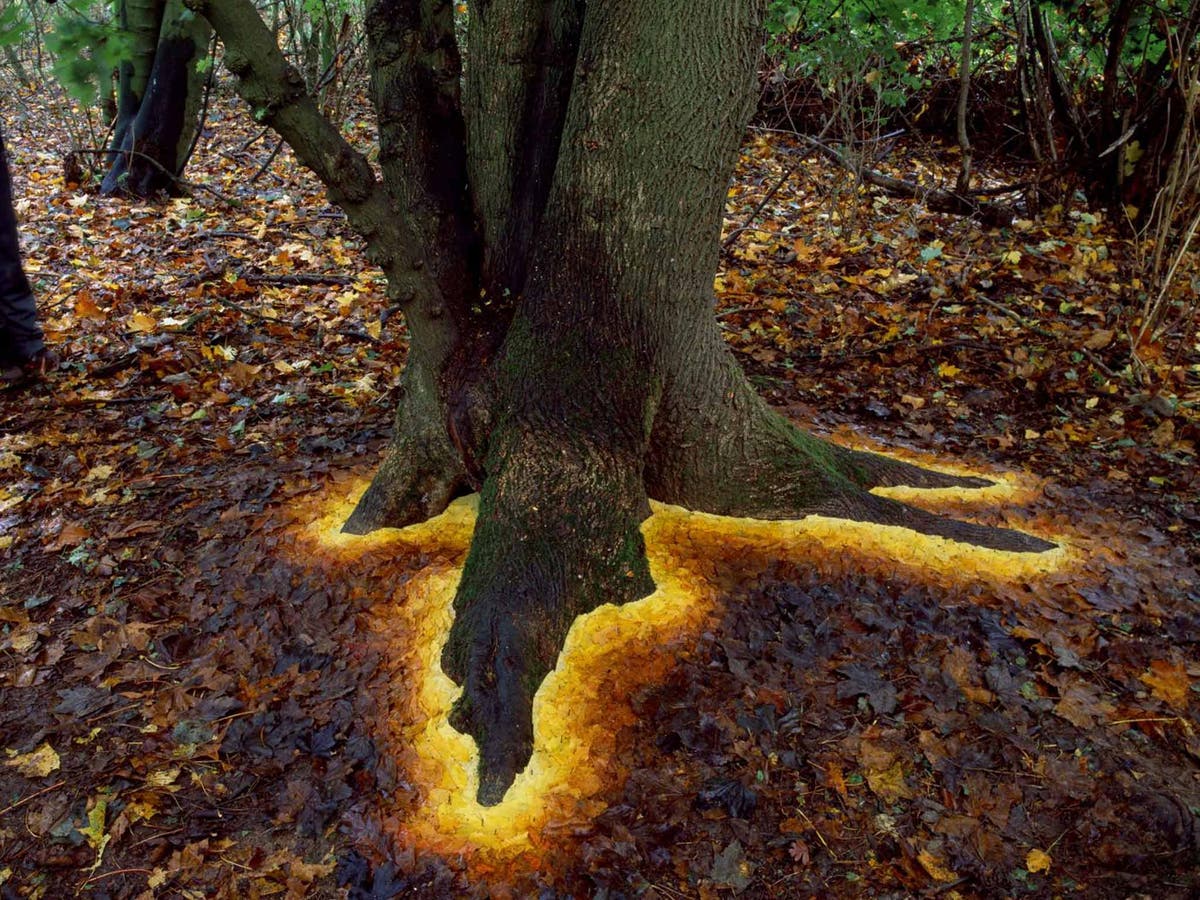 Andy Goldsworthy's Ephemeral Works: Artwork that is a testament to ...