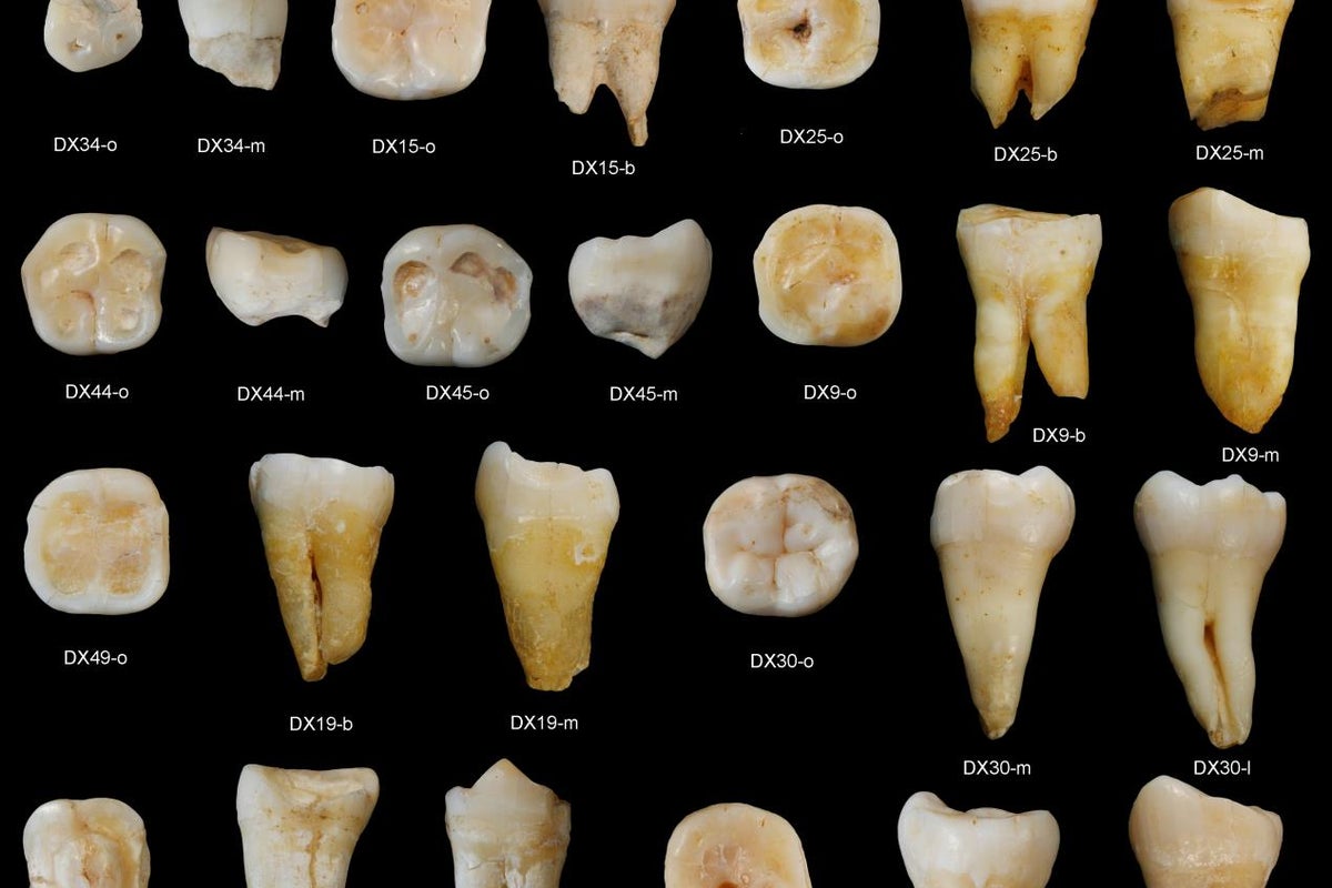China fossil teeth discovery reveals humans lived in Asia 80,000 years ...