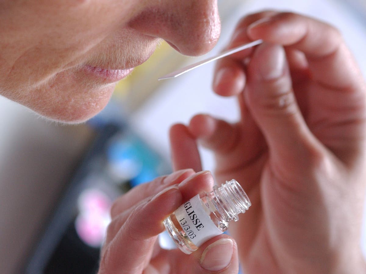 The Proustian phenomenon: Is smell really the best way to trigger ...