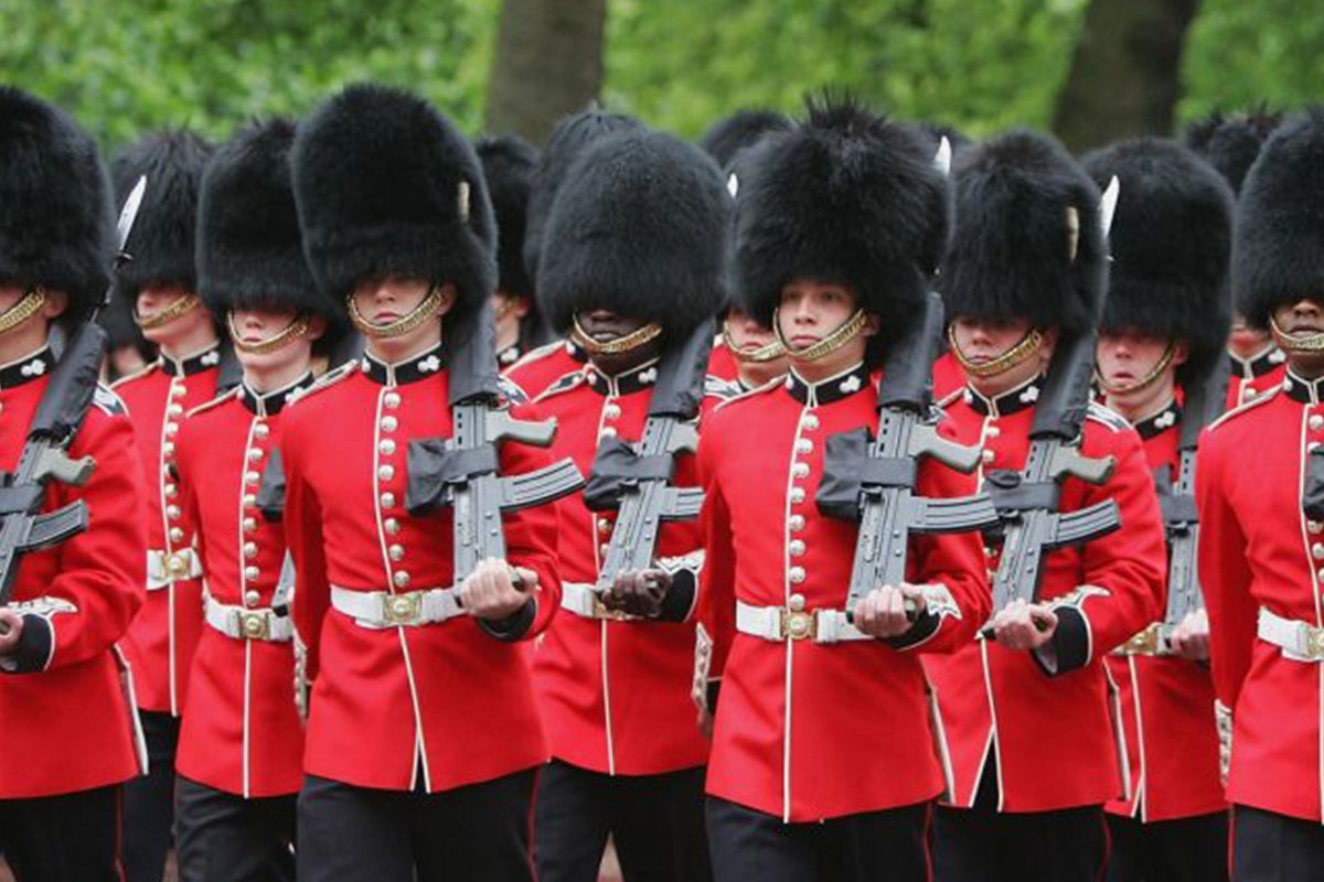 MoD attacked by animal rights campaigners over use of bearskins | The ...