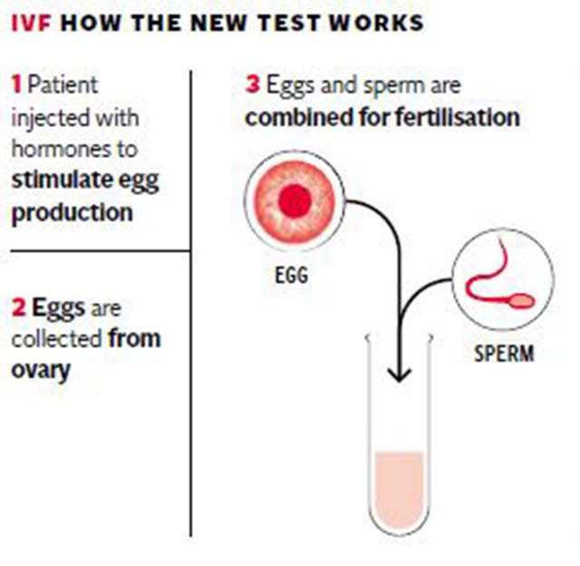 IVF test could more than double success rate to over 80 per cent | The ...