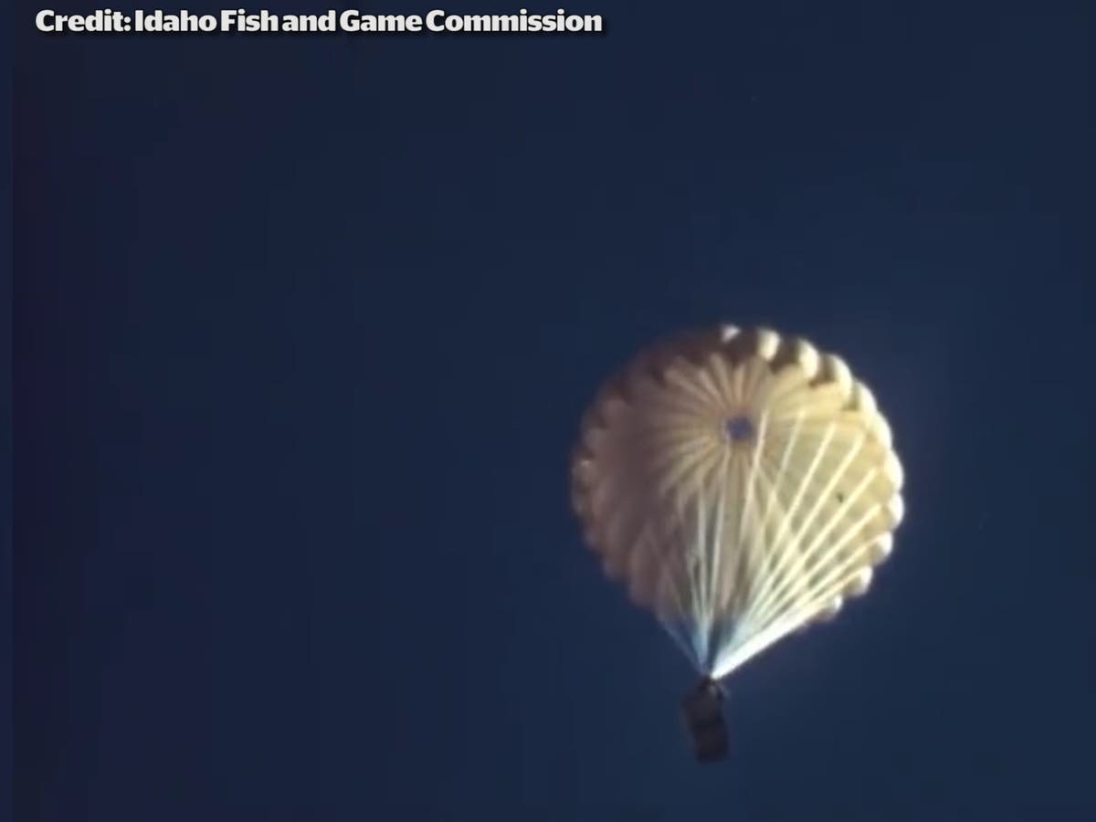 Video of parachuting beavers discovered by Idaho Historical Society ...