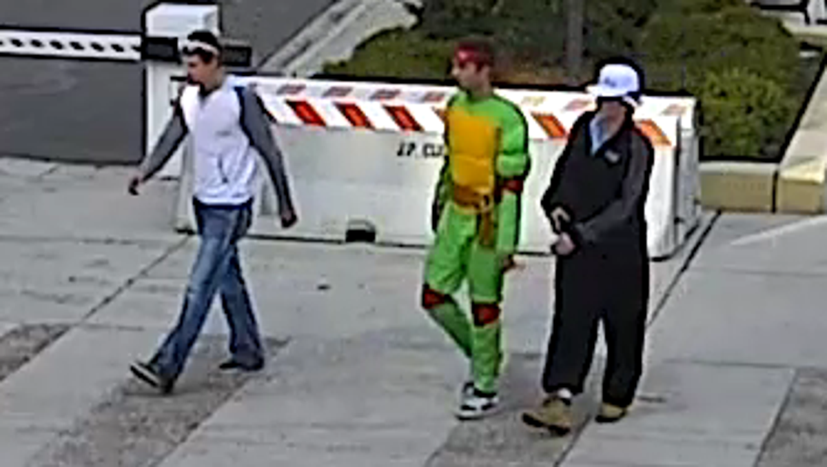 Police searching for 'Mutant Ninja Turtle' suspected of vandalism | The ...