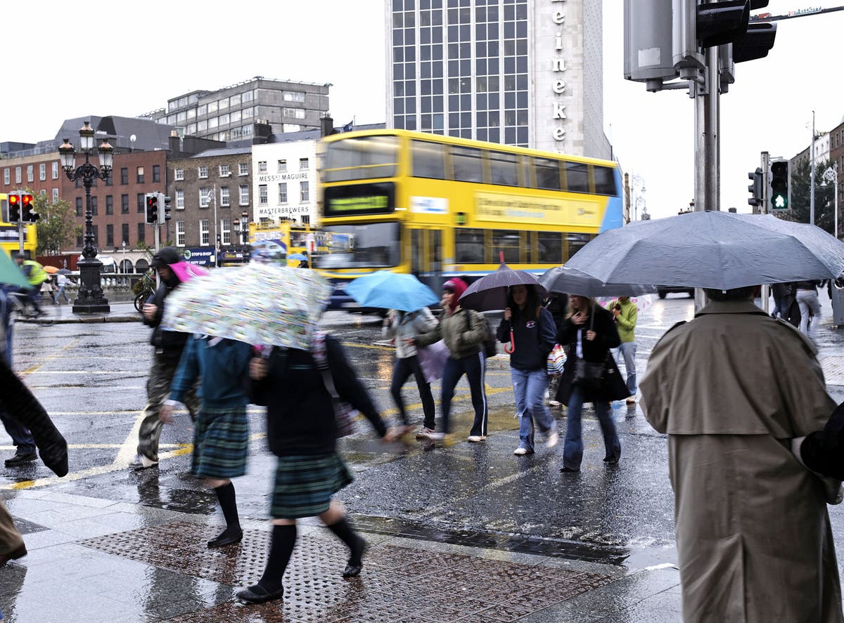 Bus driver celebrated after giving homeless man a coat in the pouring ...