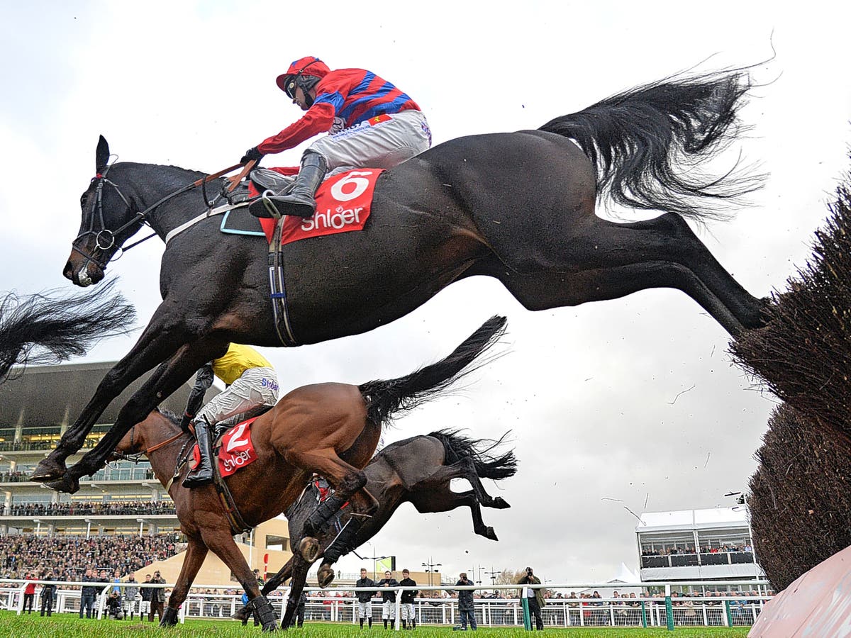 Sprinter Sacre rolls back years with stunning victory at Cheltenham ...