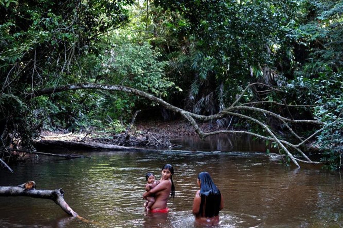 Awá tribe: World’s most endangered people fight for survival in the ...