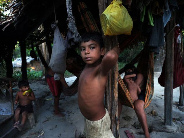 Awá tribe: World’s most endangered people fight for survival in the ...