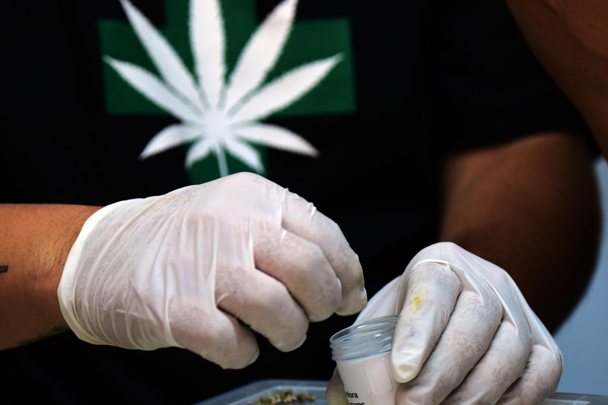 'Skunk' cannabis can cause 'significant' brain damage | The Independent ...