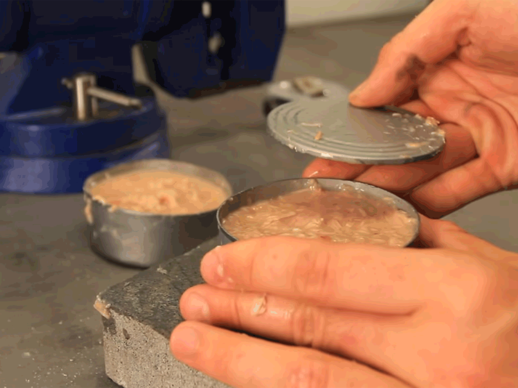 How to open a can of tuna without a can opener | The Independent | The ...