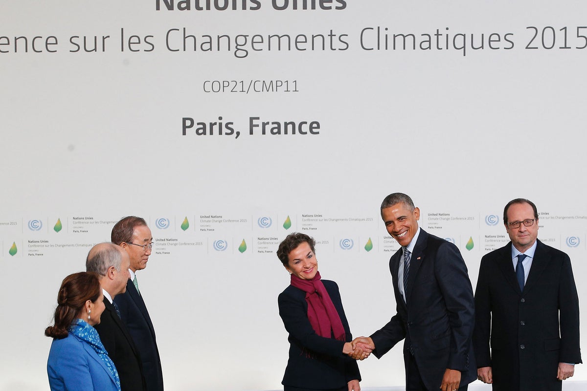 Cop21 Watch The Paris Climate Change Talks Live The Independent