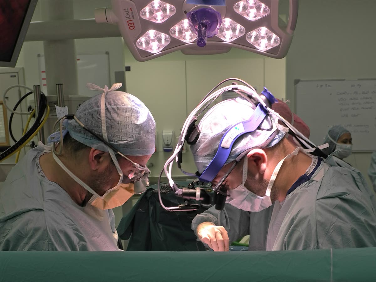 A heart no bigger than a golf ball fighting to survive: What I saw ...