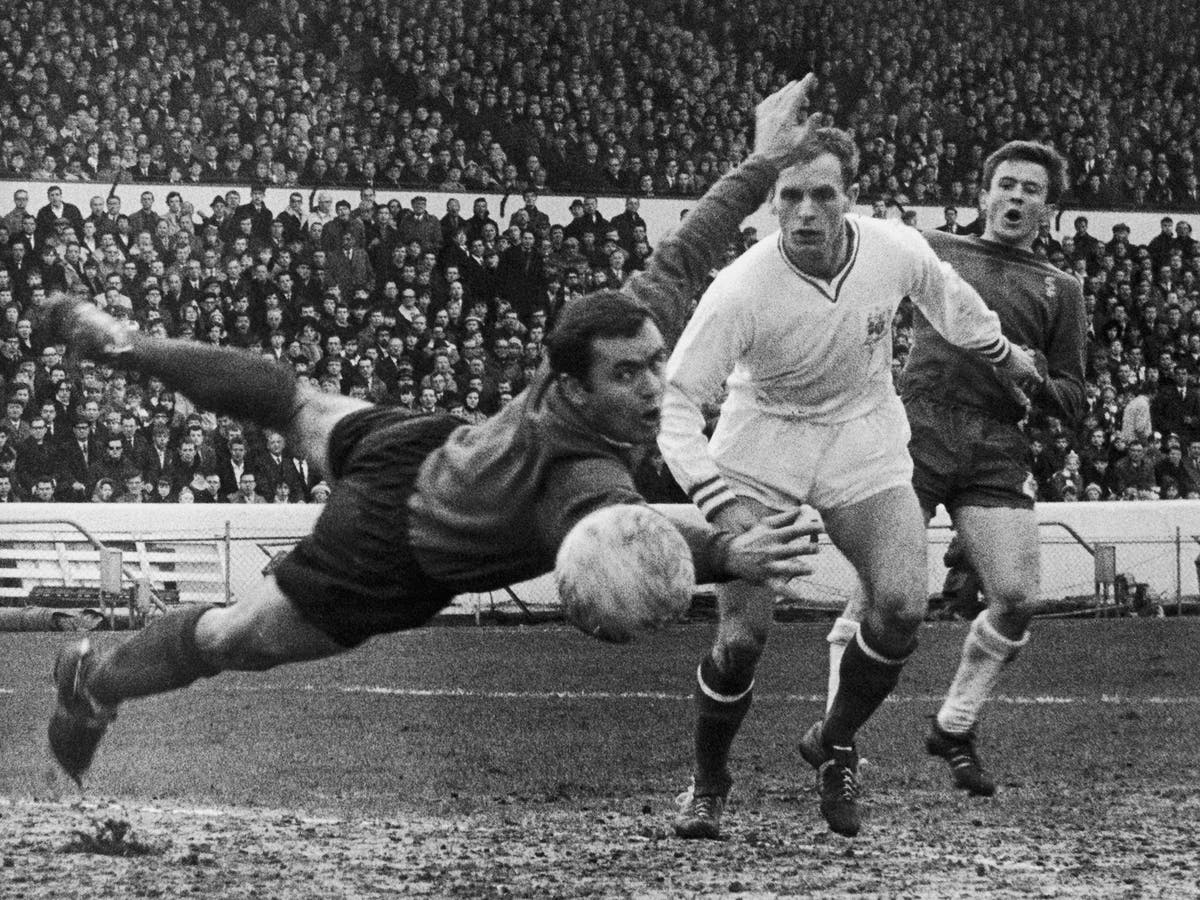 Alan Hodgkinson: England footballer who set himself up as his sport’s ...