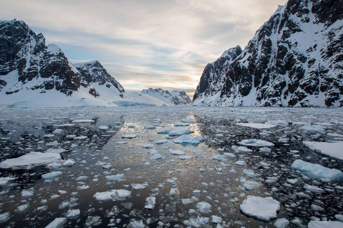 Antarctica cruise: Explorer Rebecca Stephens follows Shackleton’s route ...